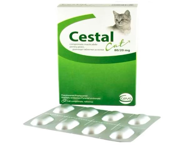 Internal antiparasitic for cats Chestal Cat Chew, 8 chewable tablets ...