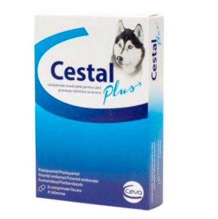 Internal Antiparasitic for dogs Cestal Plus Chew, 8 chewable tablets ...