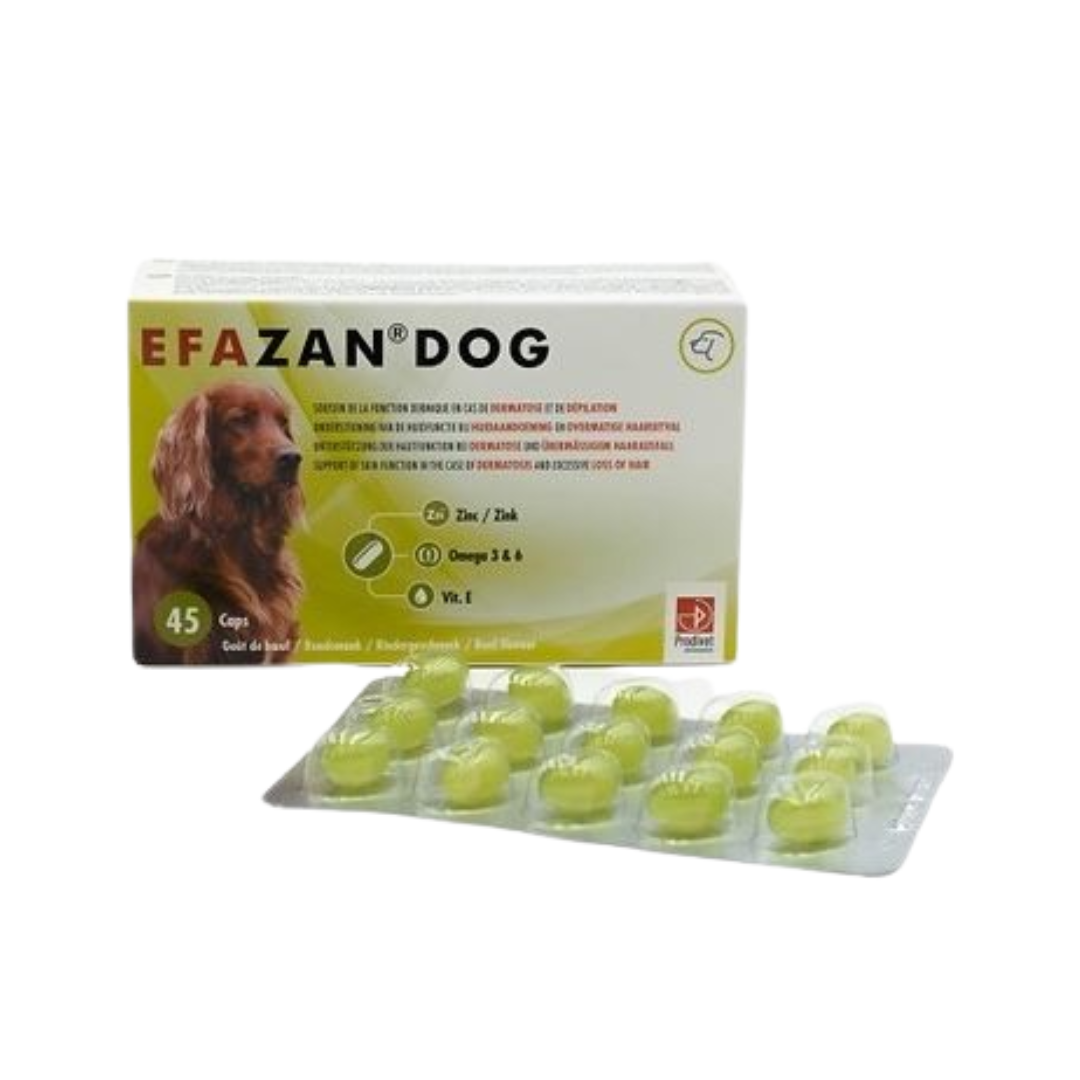 Complementary feed to support skin function in dogs Efazan Dog, 45 cap ...