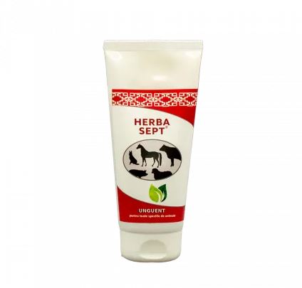 Herbasept Healing Ointment, 150 g – StoreOfAnimals